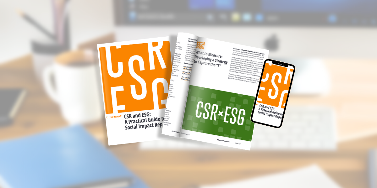 How to Demonstrate Your Social Impact in ESG Reporting [White Paper]